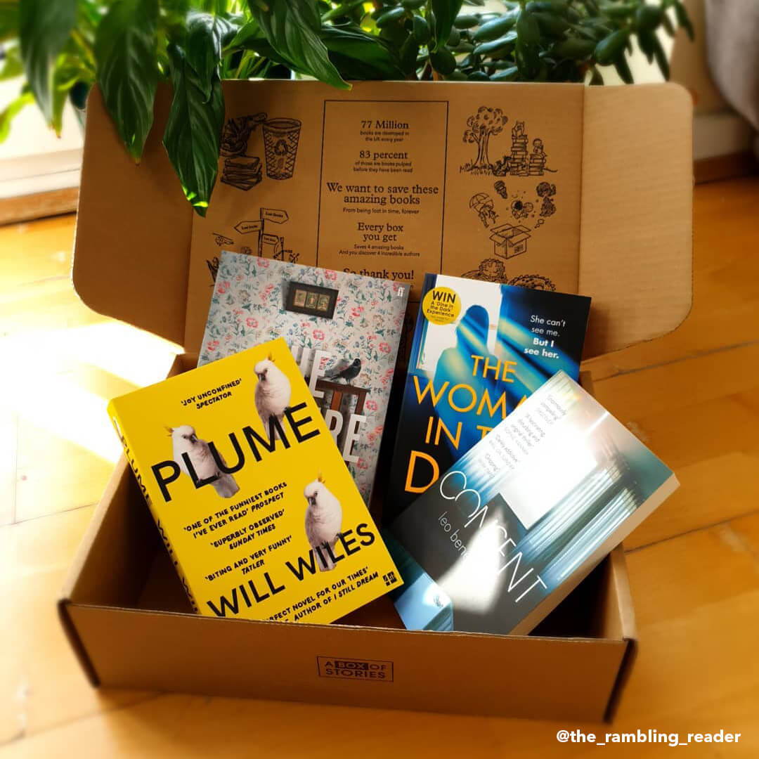 ABOS Mission Curating Unique Reading Experiences A Box of Stories